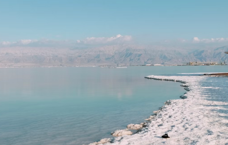 Freshwater vs Saltwater: A Tale of Two Waters - This Week in Science
