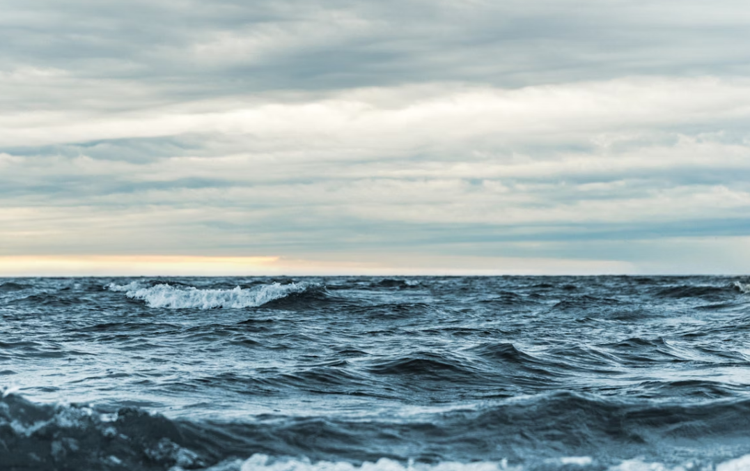 Freshwater vs Saltwater: A Tale of Two Waters - This Week in Science